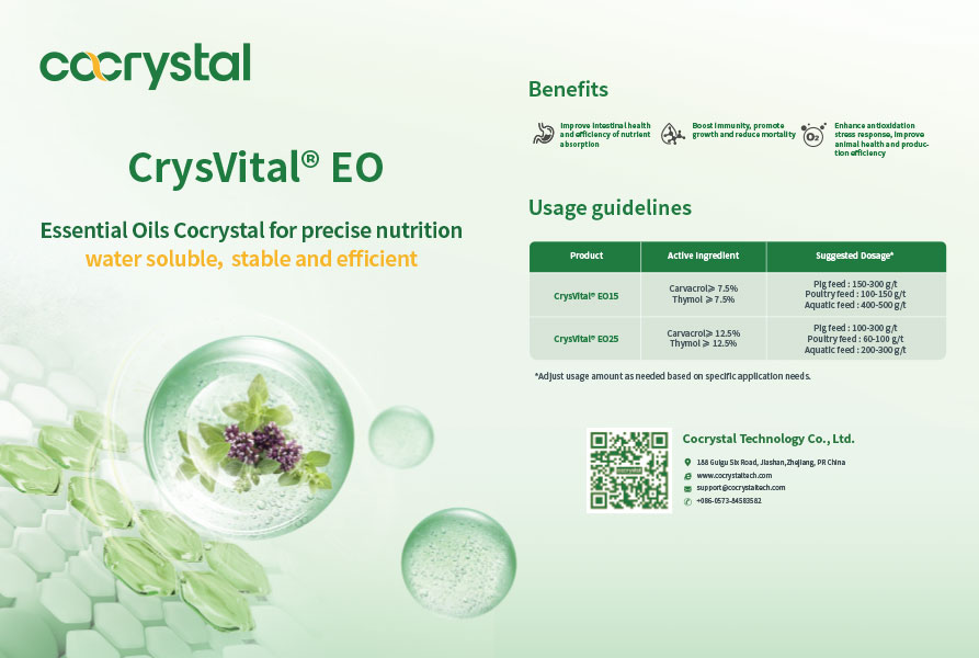 Custom Thymol Powder Supplier, Carvacrol Oil Manufacturer